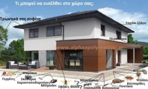 Απολυμάνσεις Απεντομώσεις. | ALPHA ΑΠΟΛΥΜΑΝΤΙΚΗ